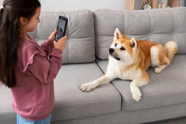 Smart Trackers for Dogs and Cats Ensuring Pet Safety